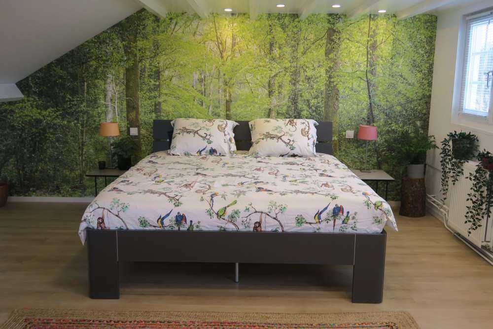 het groene bos - Fotobehang