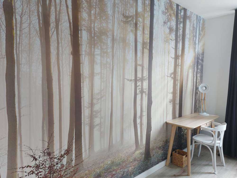 Behang met een mistig bos - Fotobehang