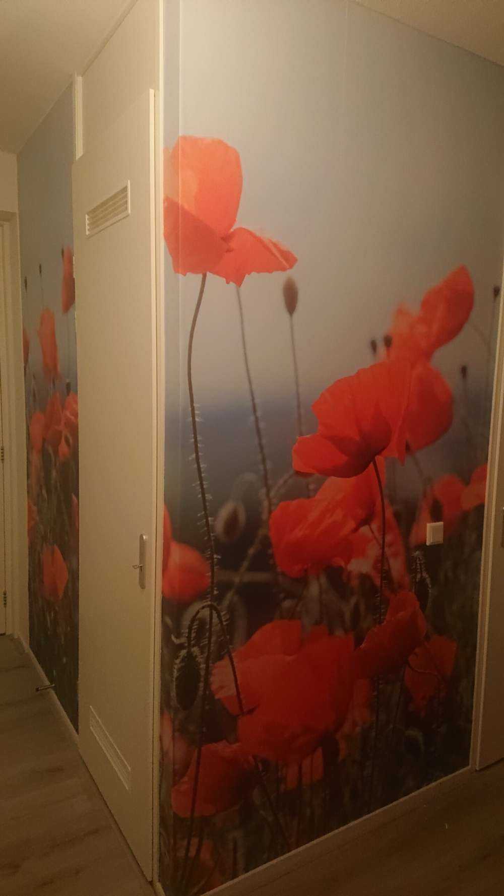 Klaprozen veld - Fotobehang