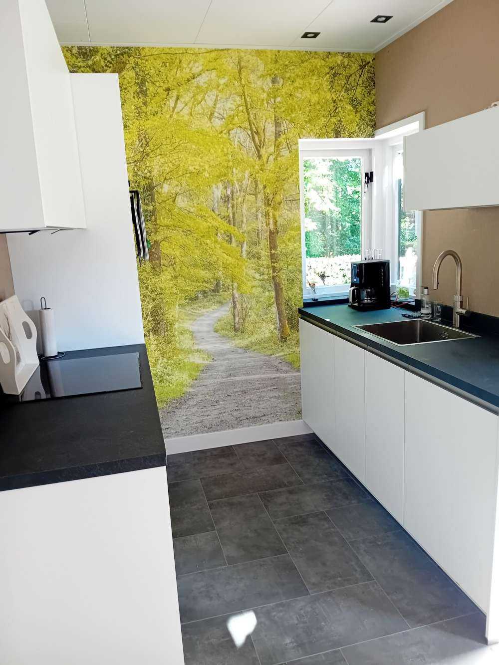 het groene bos - Fotobehang