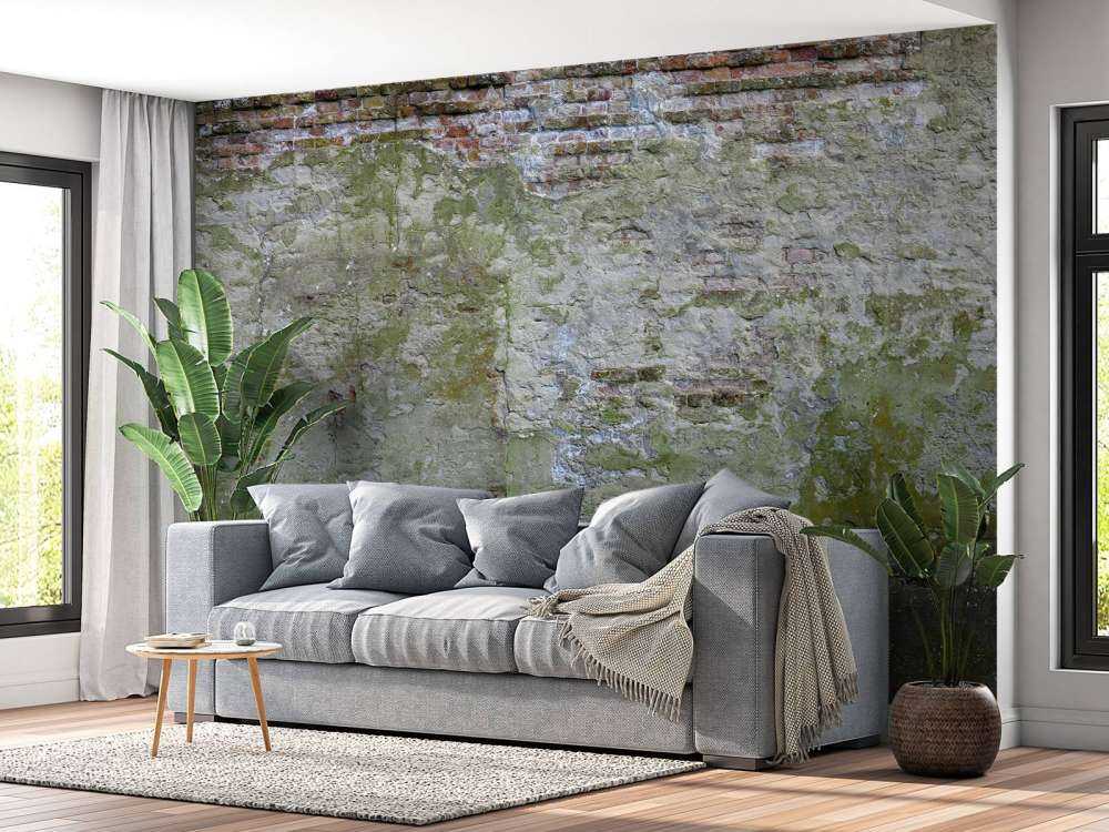 Mos op oude muur - Fotobehang