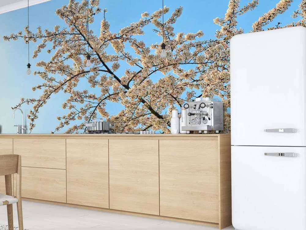 Bloesemtak - Fotobehang