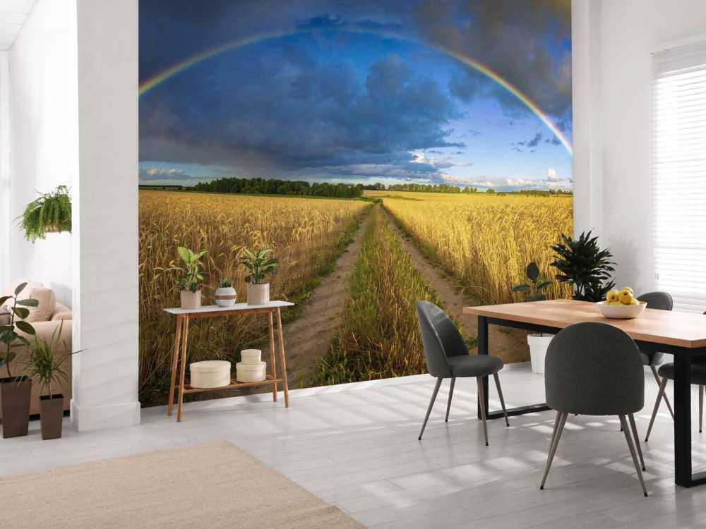 Regenboog over een graanveld - Fotobehang