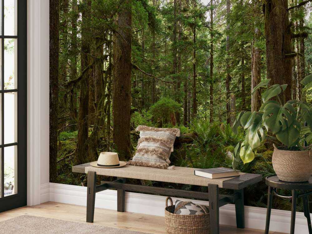 Wild bos - Fotobehang