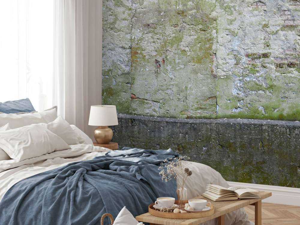 Mos op oude muur - Fotobehang