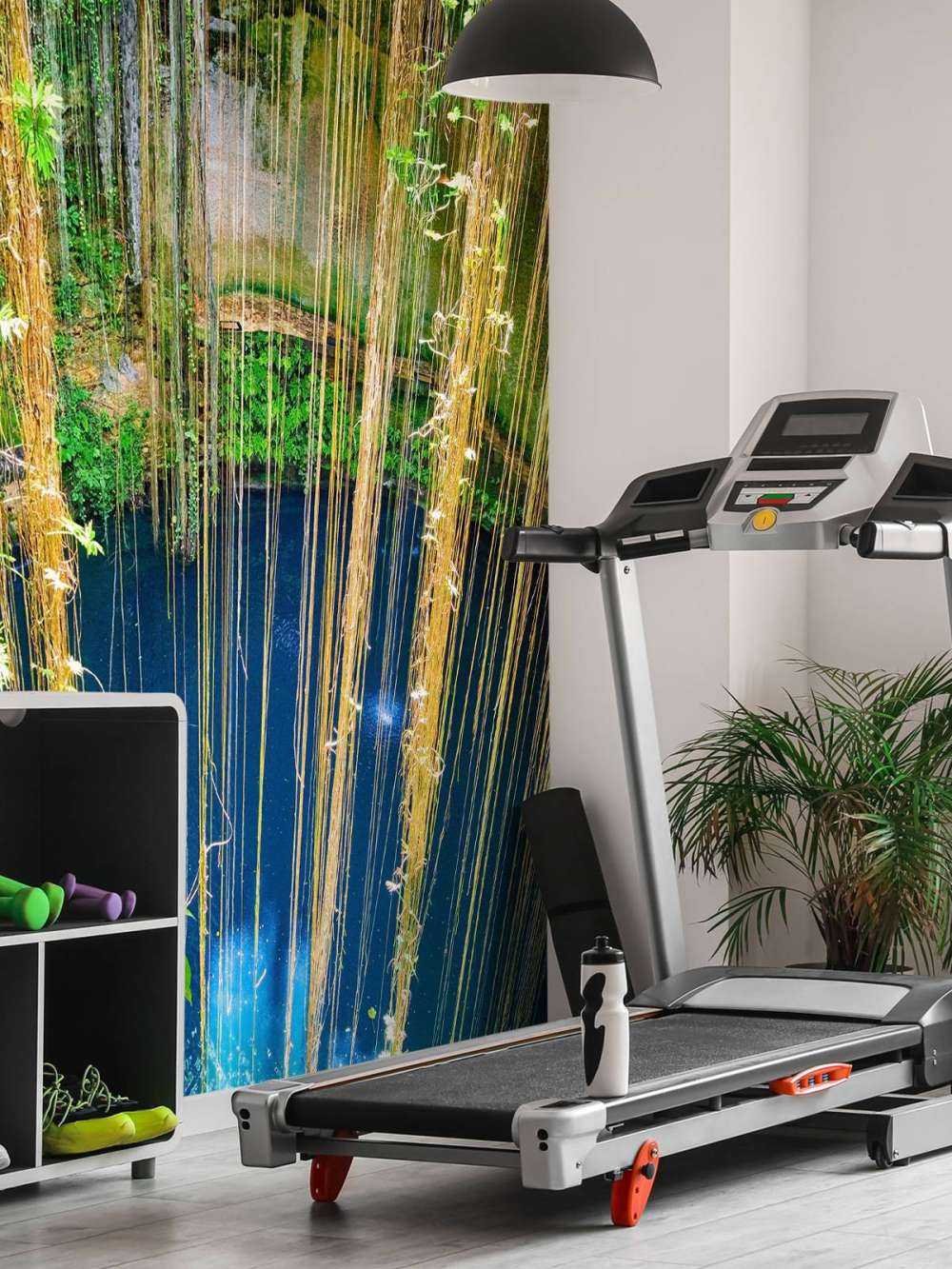 Behang met hangende takken - Fotobehang