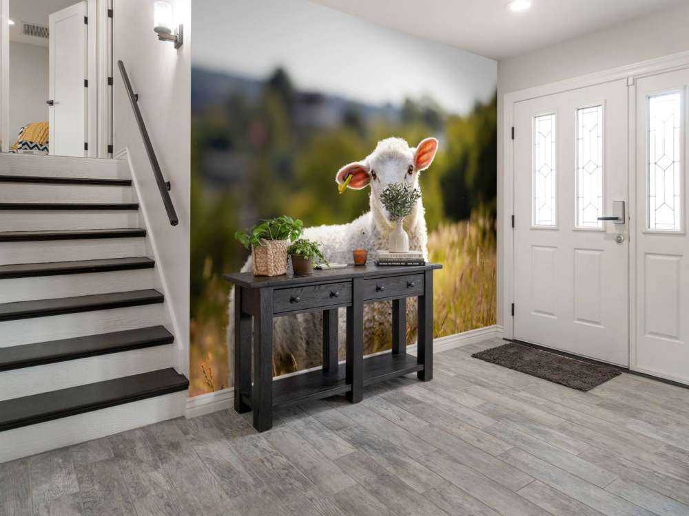 Jong schaap - Fotobehang