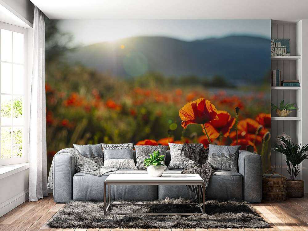 Klaprozen met zonnestralen - Fotobehang