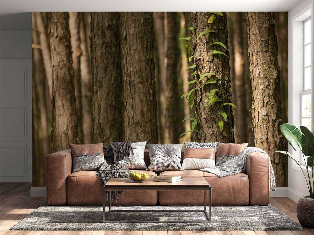Behang met dunne boomstammen - Fotobehang