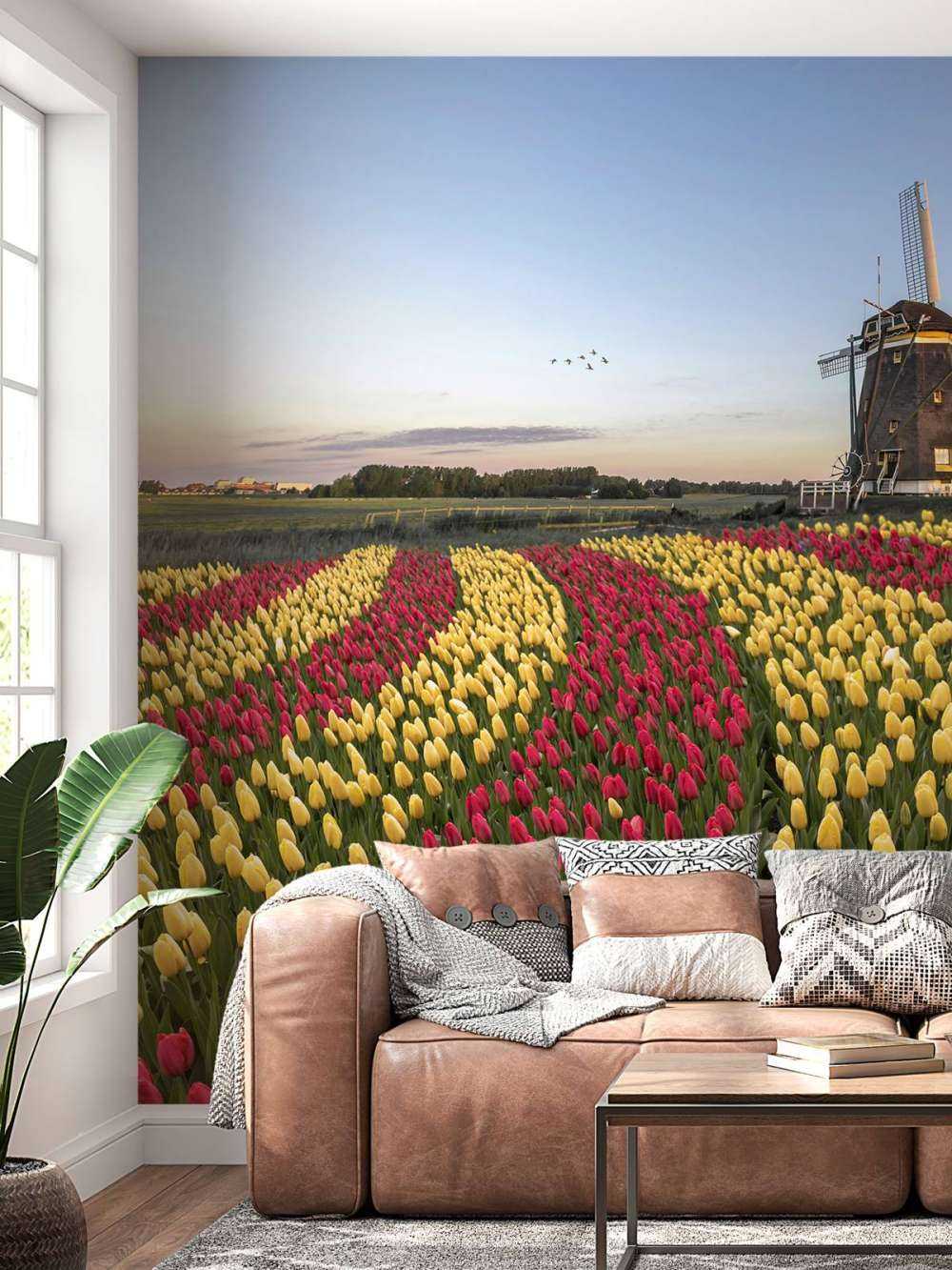 Nederlandse tulpenveld - Fotobehang