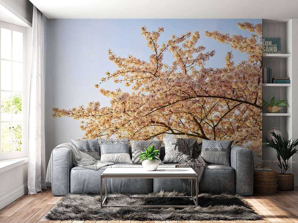 Bloesemtak in bloei - Fotobehang