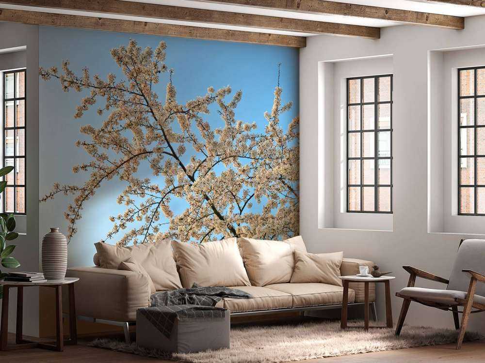 Bloesemtak - Fotobehang