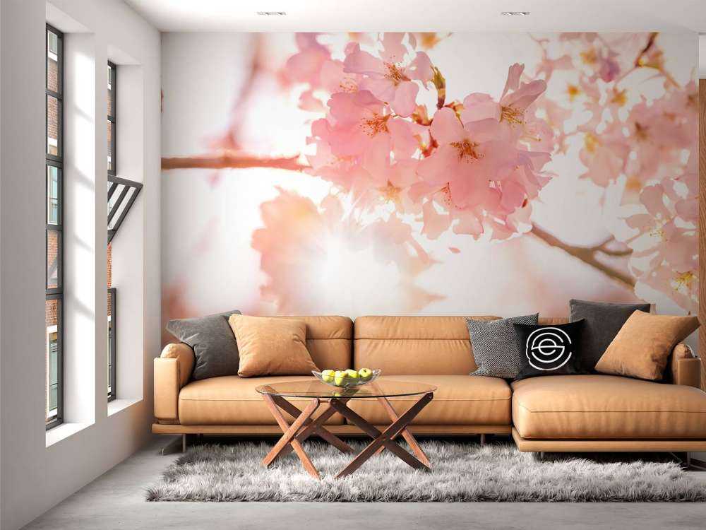 Lichte roze bloesems - Fotobehang