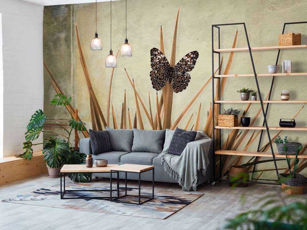 Vlinder bij oude muur - Fotobehang