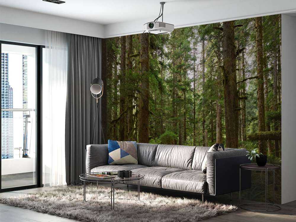 Wild bos - Fotobehang