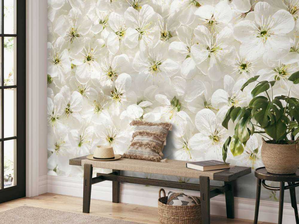 Behang van kersenbloesem - Fotobehang