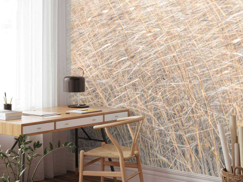 Brown reeds growing in water - Fotobehang