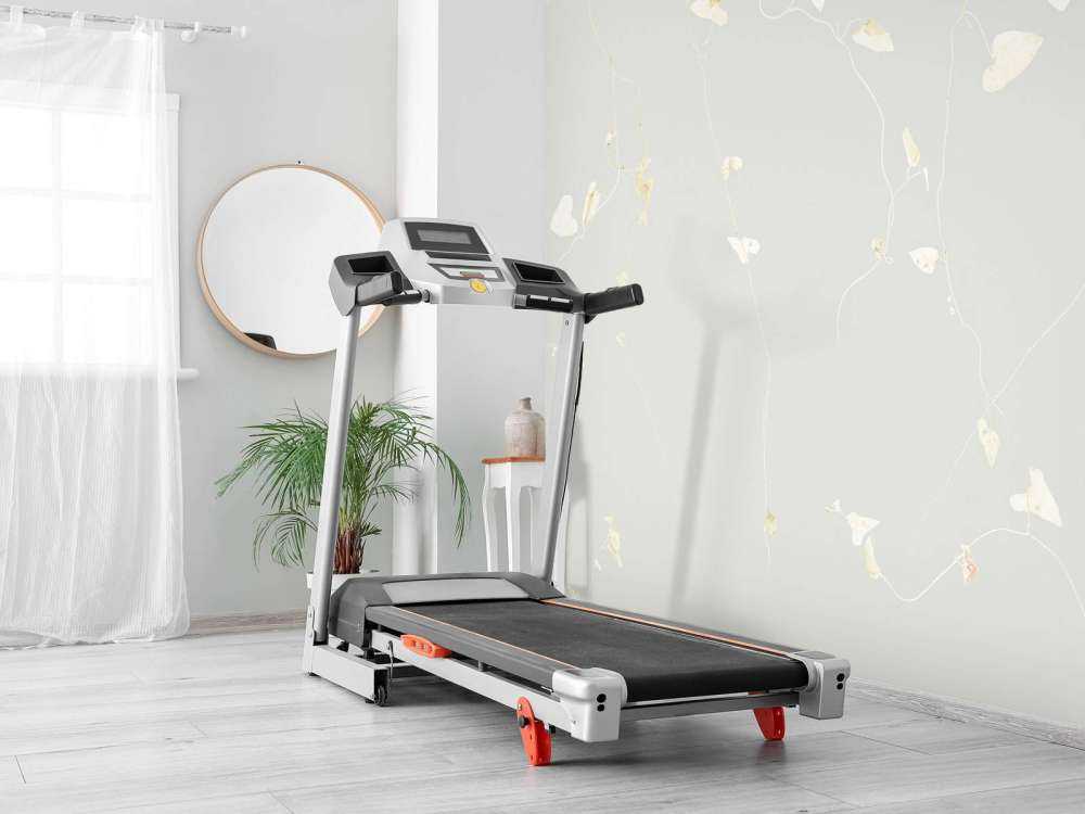 Haagwinde takken licht groen - Fotobehang