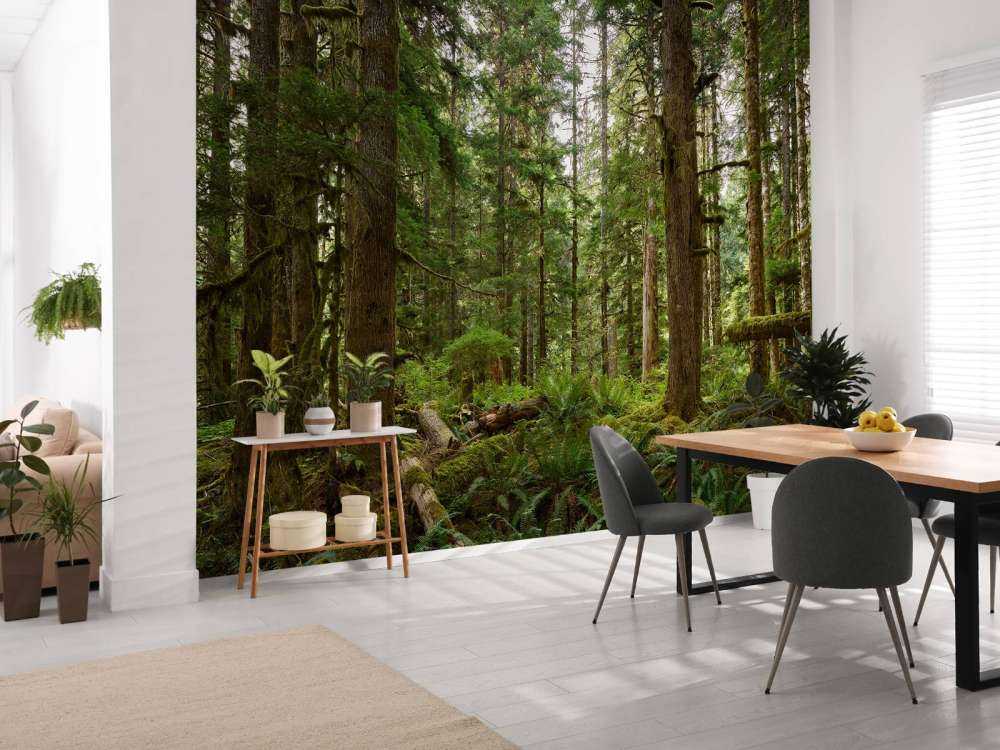 Wild bos - Fotobehang