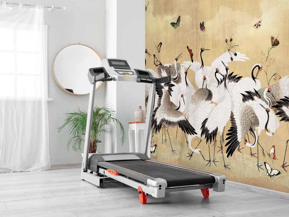 Fotobehang - Golden Dance of Cranes - Fotobehang