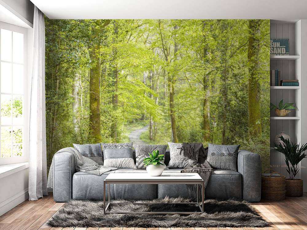 het groene bos - Fotobehang