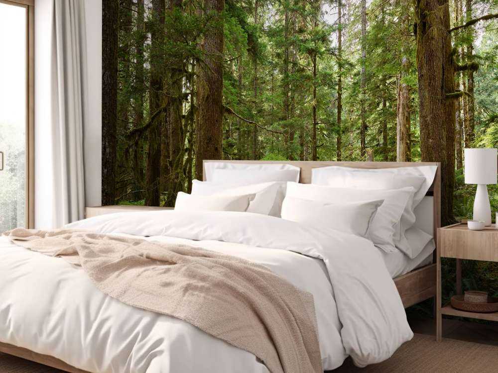 Wild bos - Fotobehang