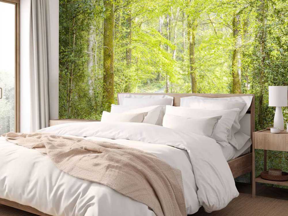 het groene bos - Fotobehang