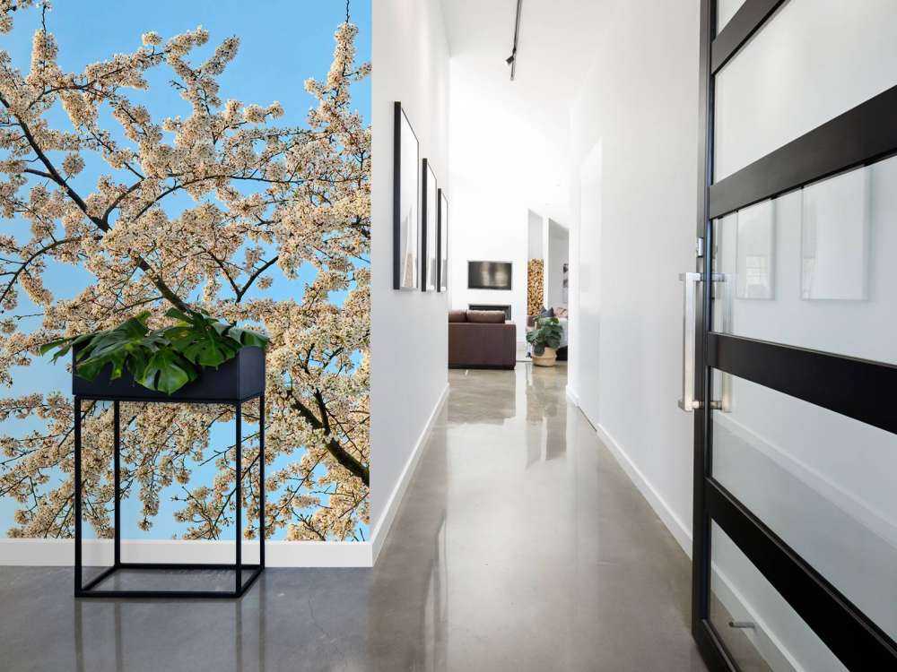 Bloesemtak - Fotobehang