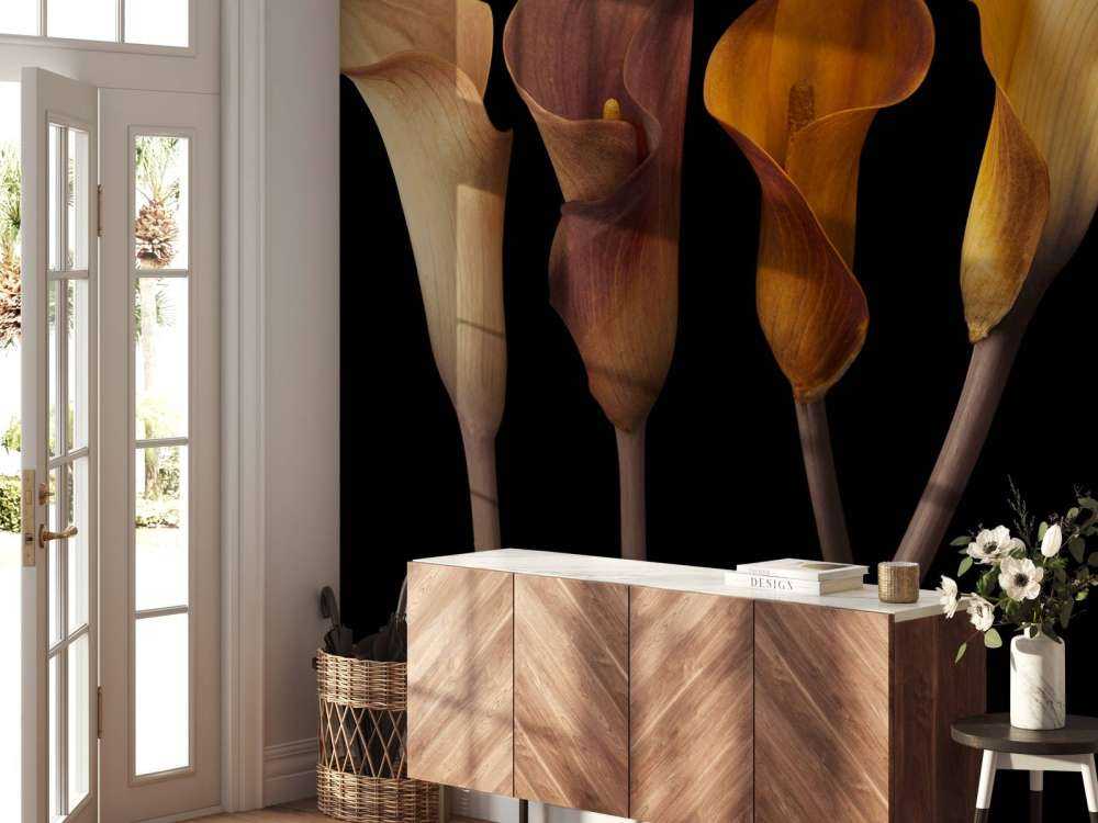 Calla Lelie - Fotobehang