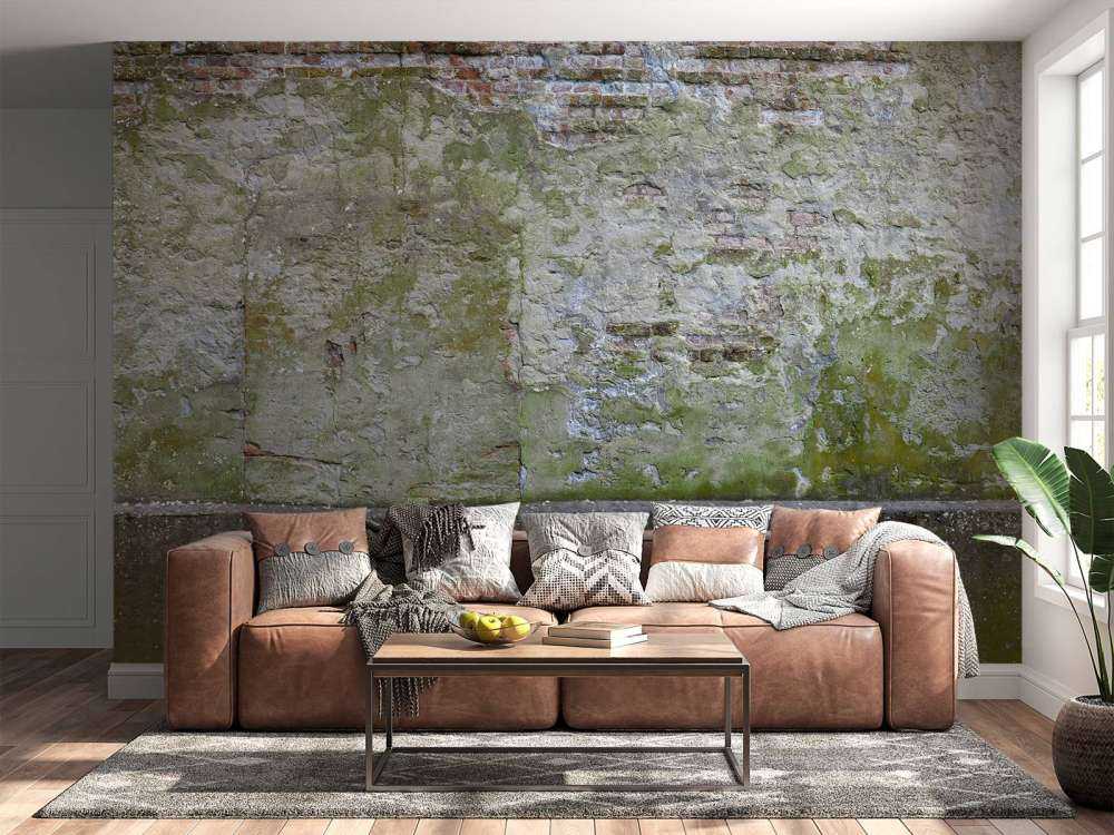 Mos op oude muur - Fotobehang