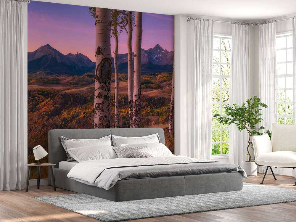 Aspen Frames - Fotobehang