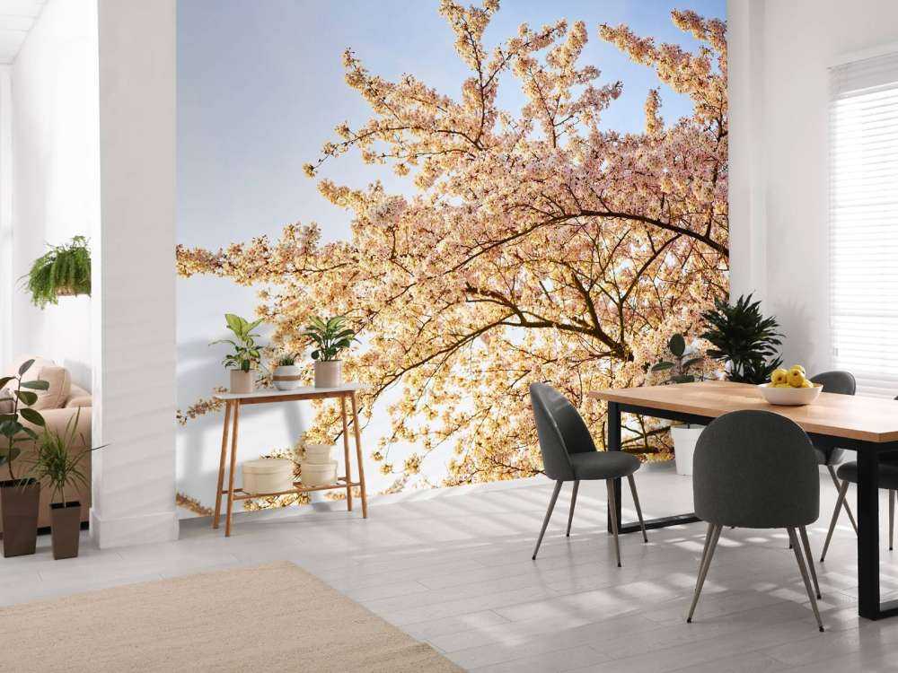 Bloesemtak in bloei - Fotobehang