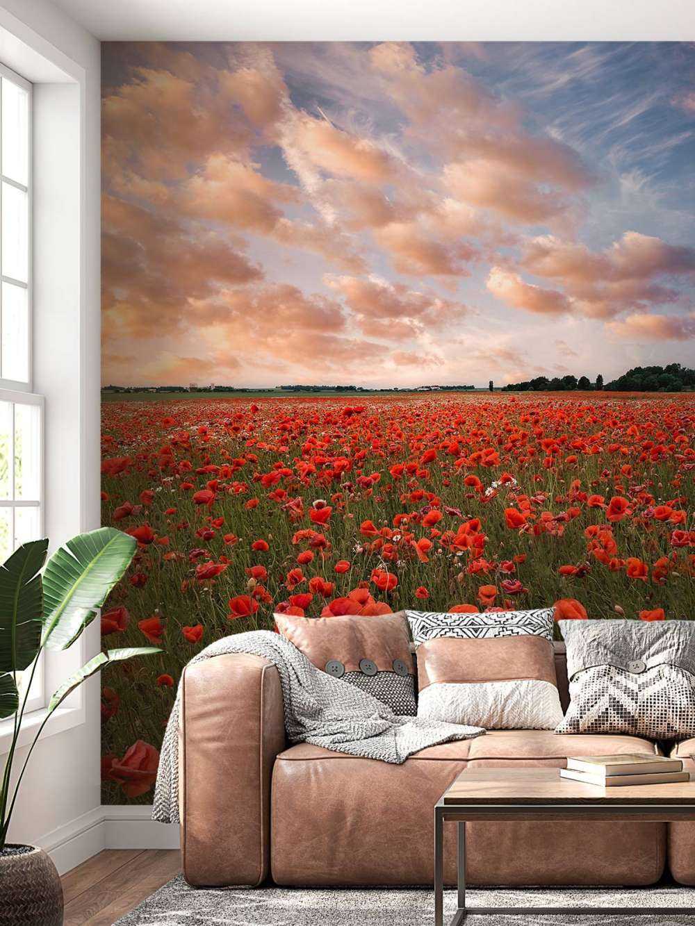 Poppy field in Sweden - Fotobehang