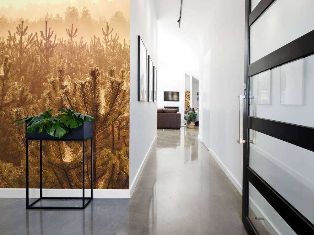 Summer dawn - Fotobehang