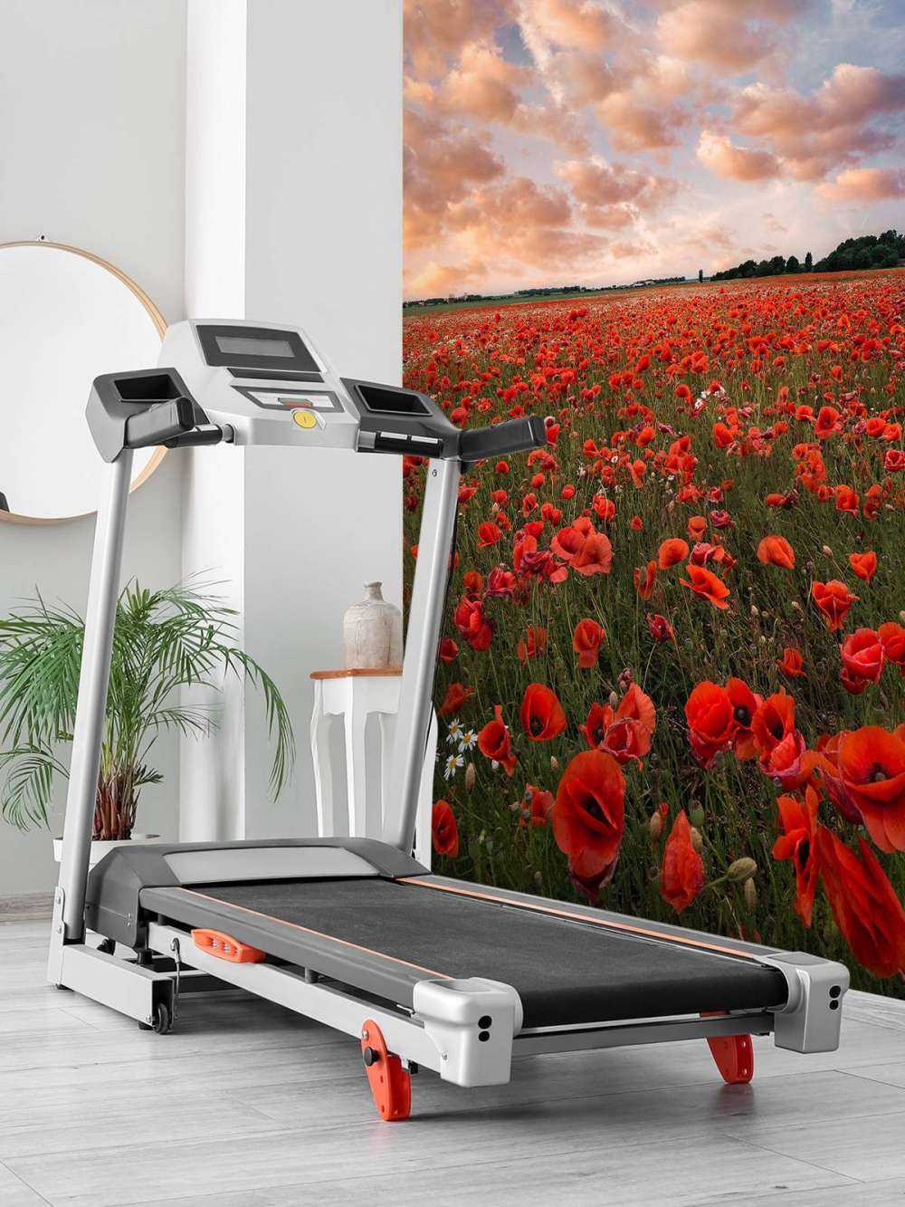 Poppy field in Sweden - Fotobehang