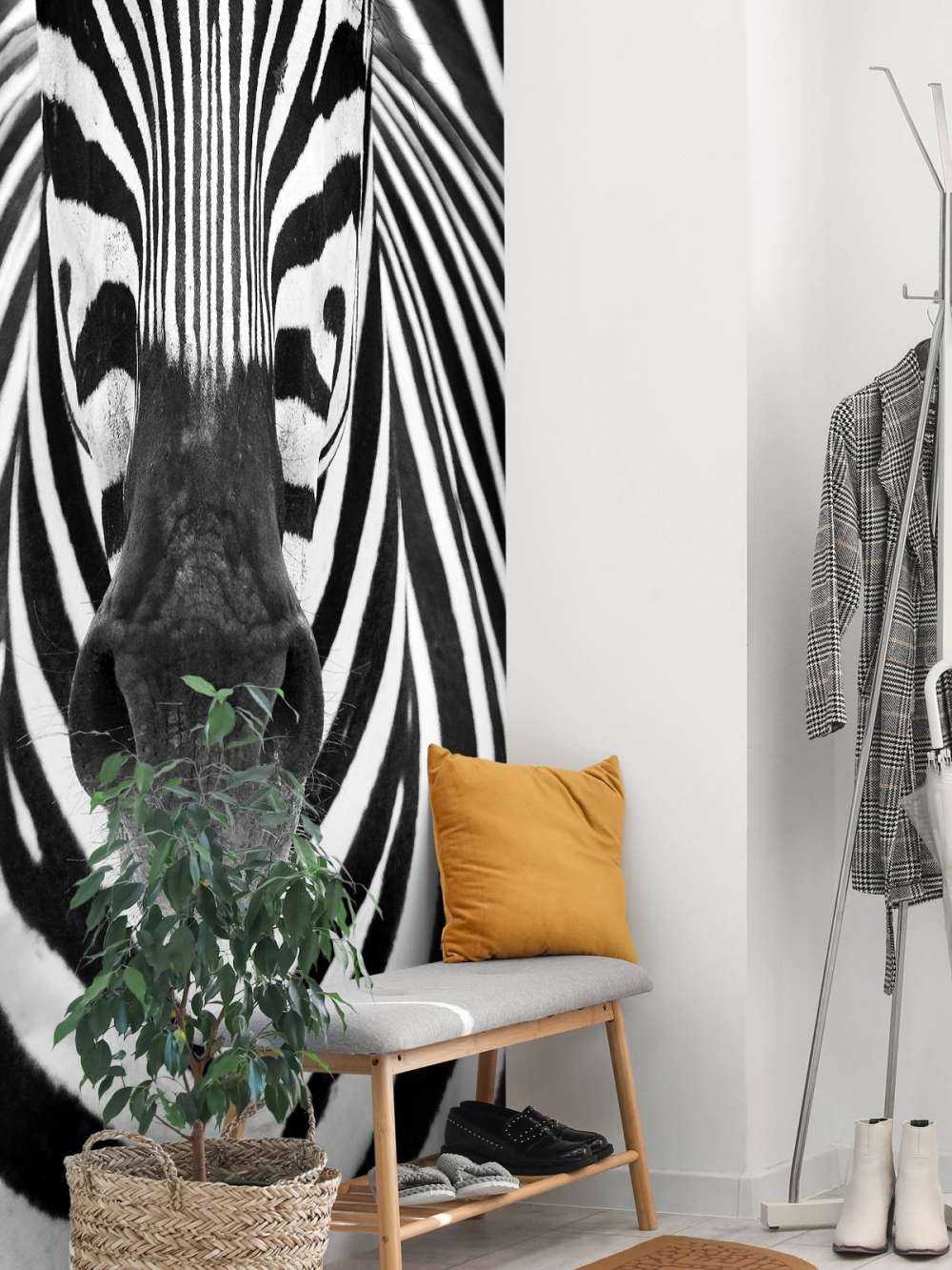 Zebra close-up - Fotobehang