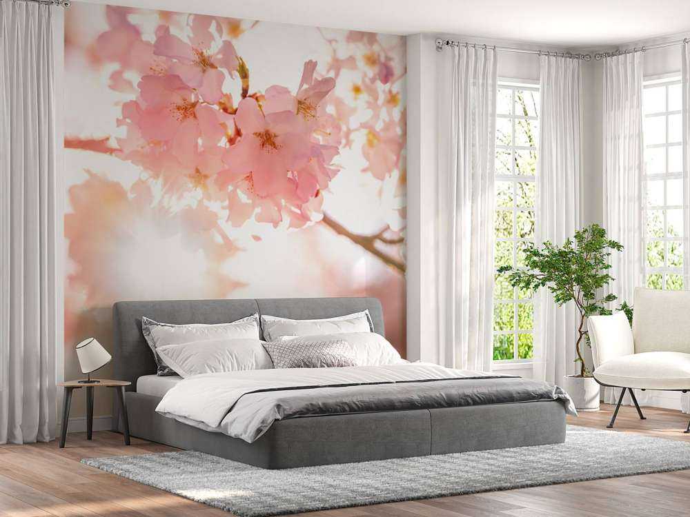 Lichte roze bloesems - Fotobehang