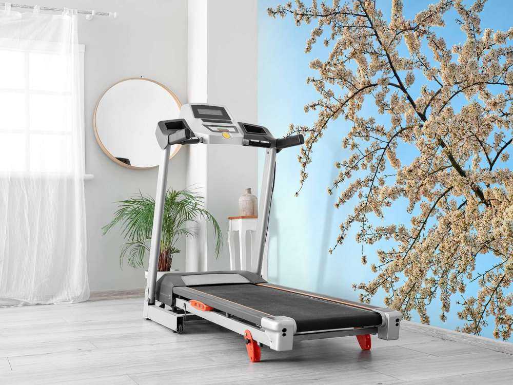 Bloesemtak - Fotobehang