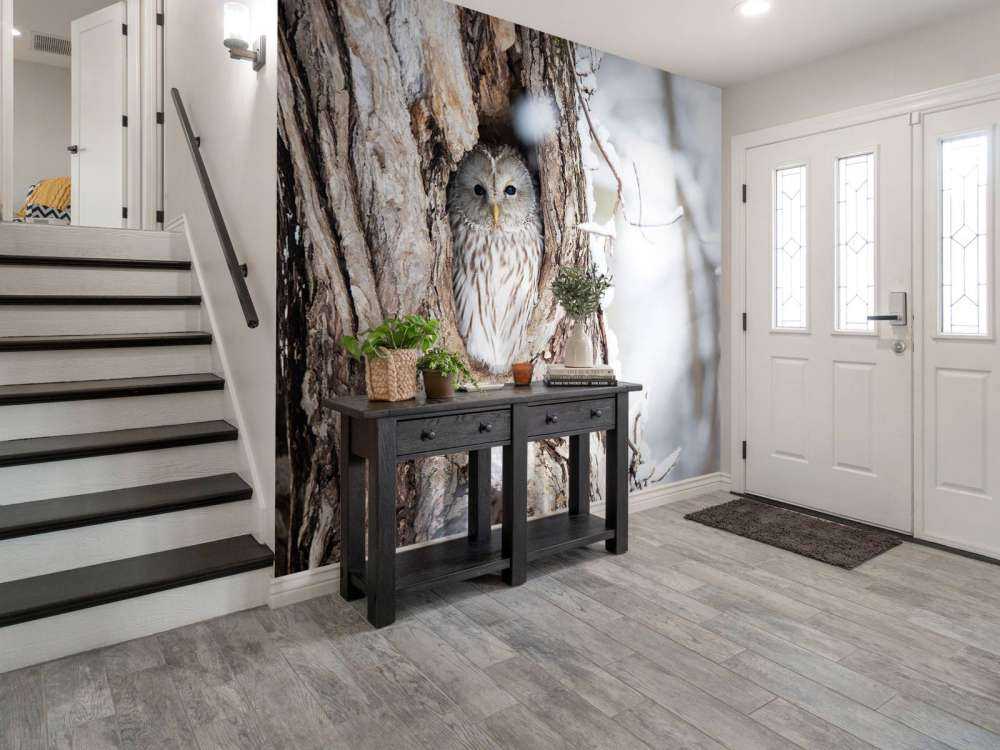 Witte uil in een holle boom - Fotobehang