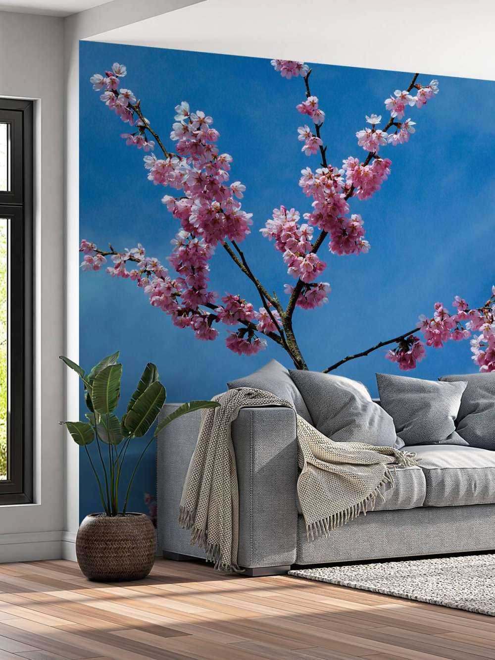 Japanse roze bloesems - Fotobehang