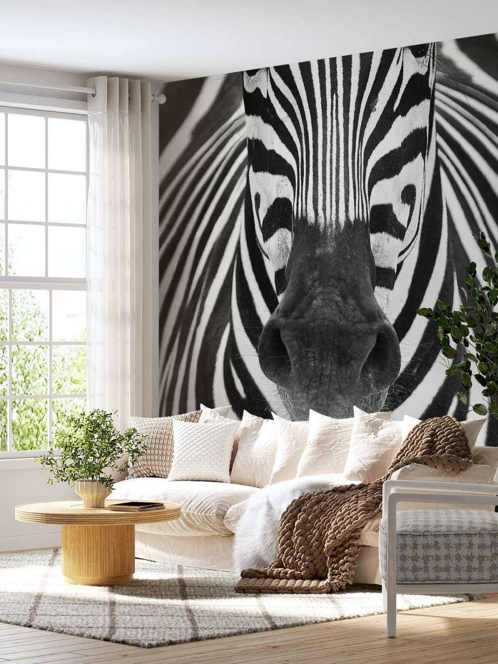 Zebra close-up - Fotobehang