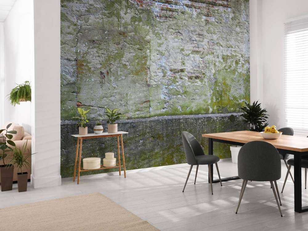 Mos op oude muur - Fotobehang