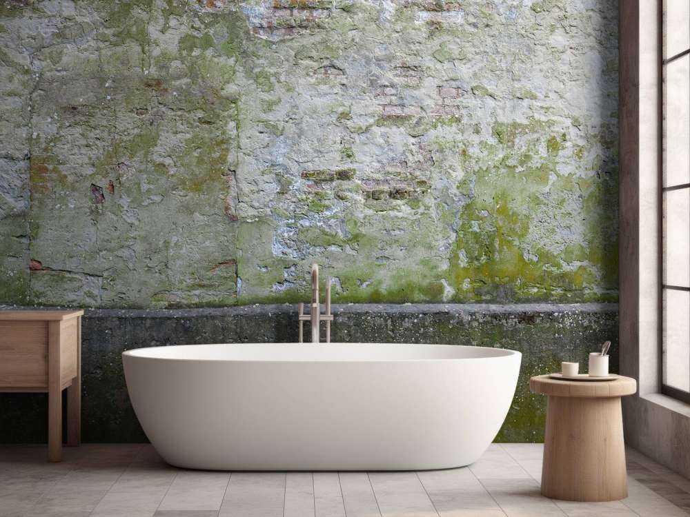 Mos op oude muur - Fotobehang