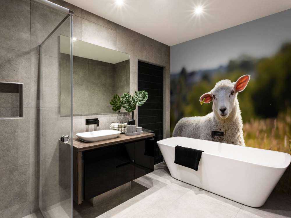 Jong schaap - Fotobehang