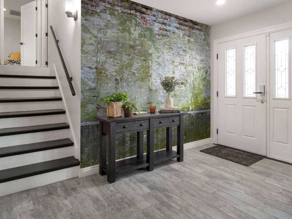 Mos op oude muur - Fotobehang