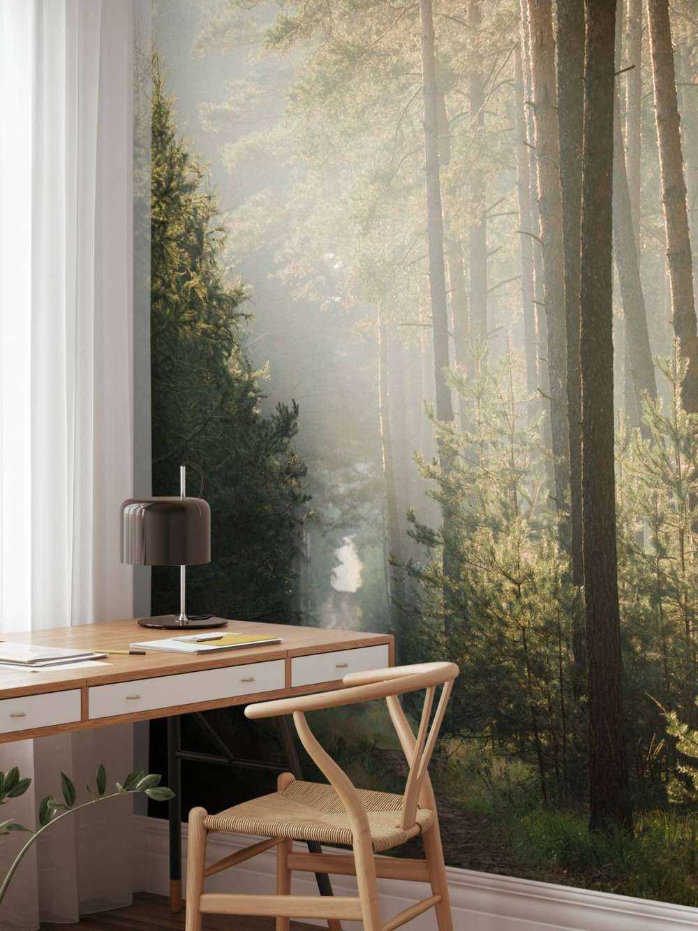 Fotobehang - Lichtspel in het Dennenbos - Fotobehang