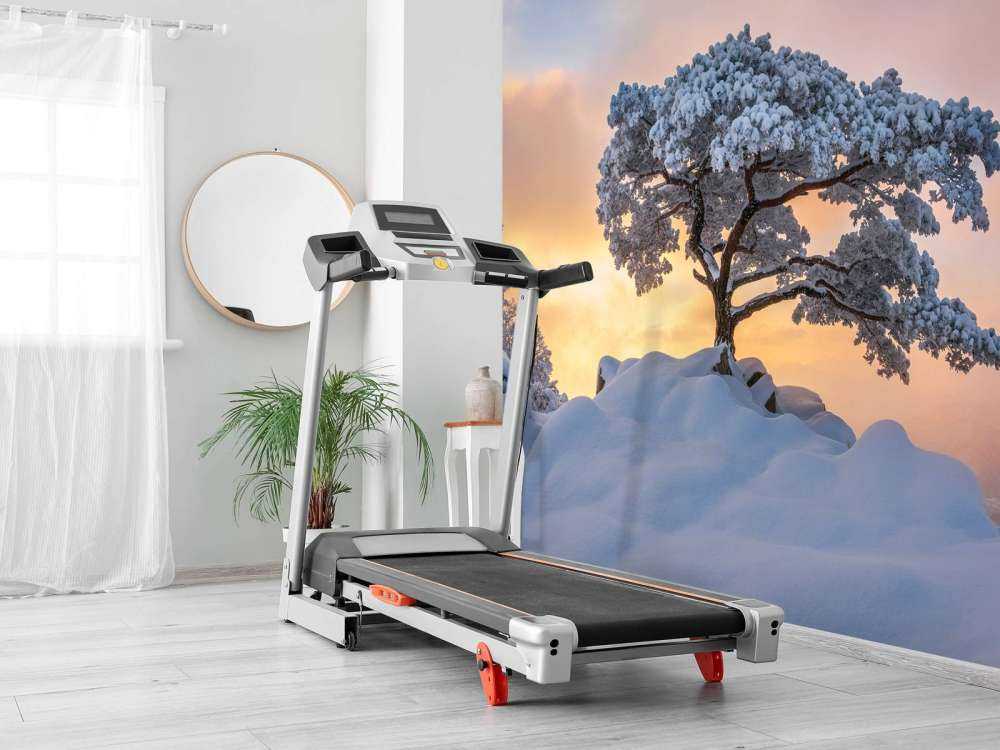 Cold loner - Fotobehang